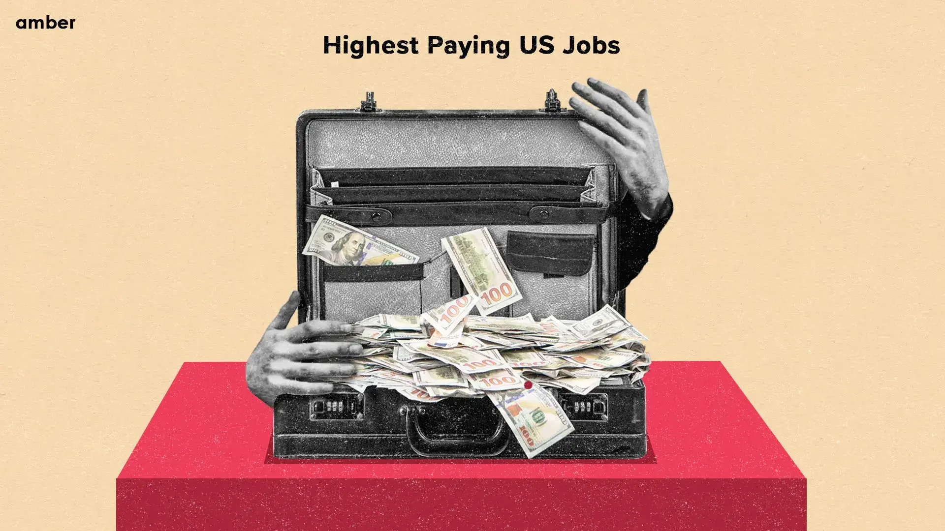 25 Highest Paying Jobs in the USA 2024 | Amber