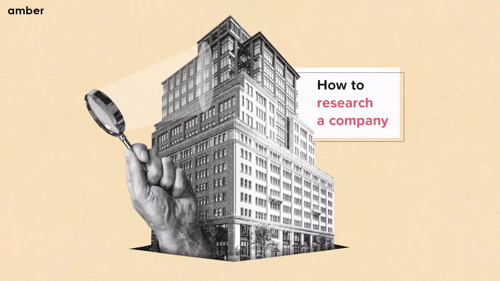 How to research a company: Top tips and tricks | Amber