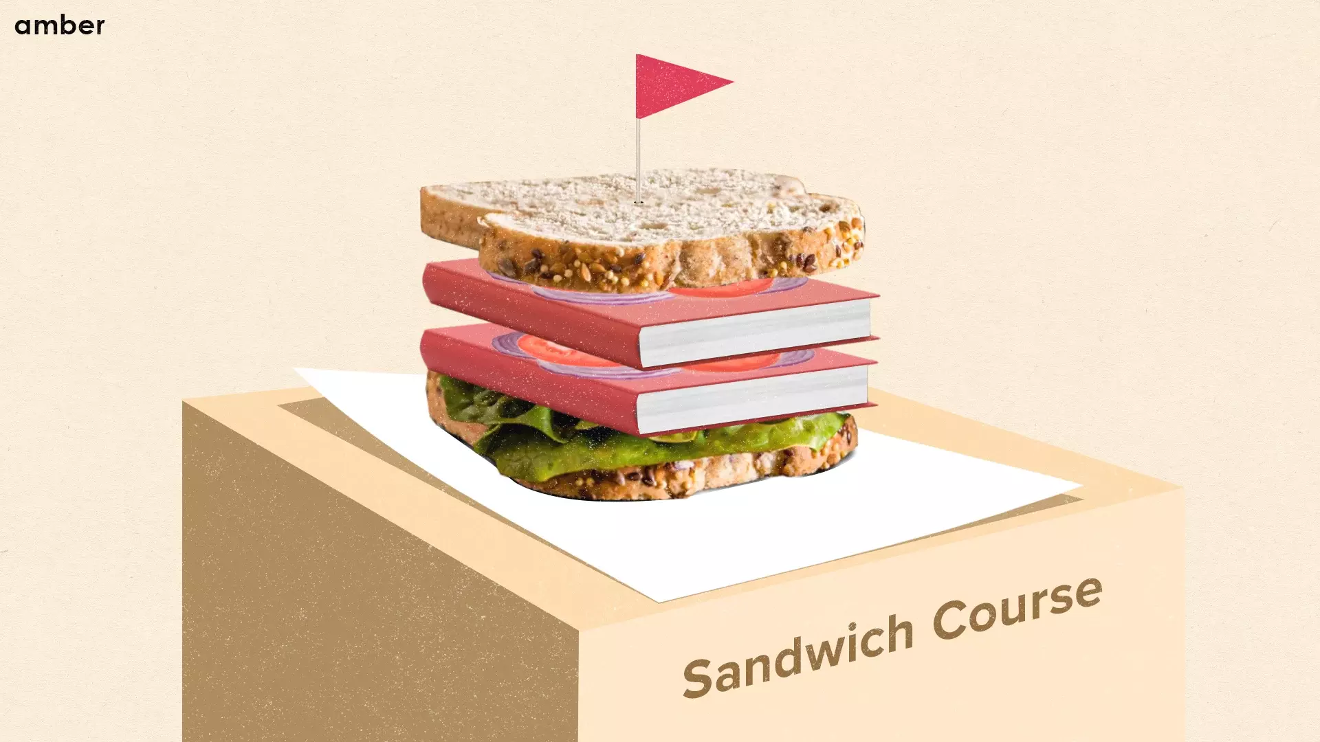 What Is A Sandwich Course? | Amber