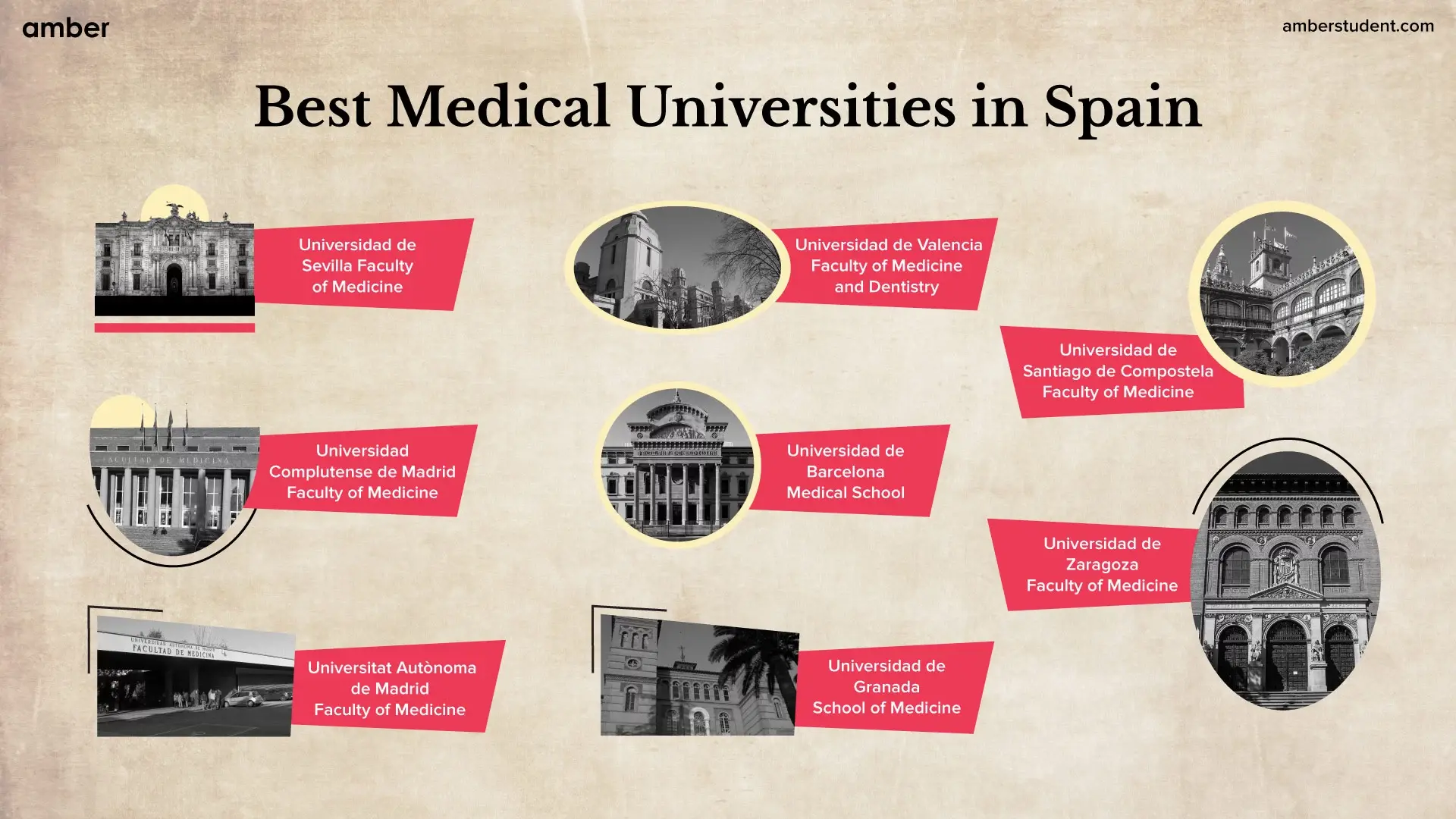 Explore the Best Medical Courses in Spain | Amber
