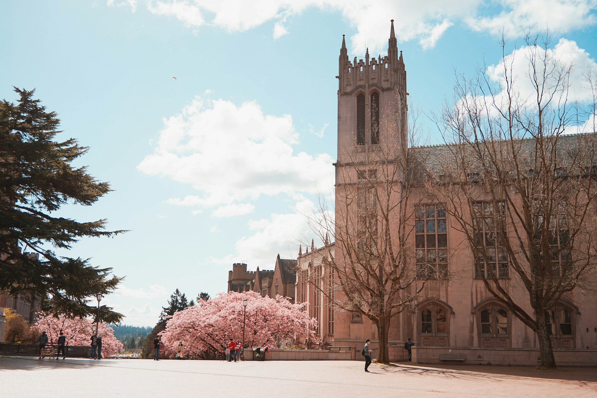 20 Most Beautiful University Campuses in the US | Amber
