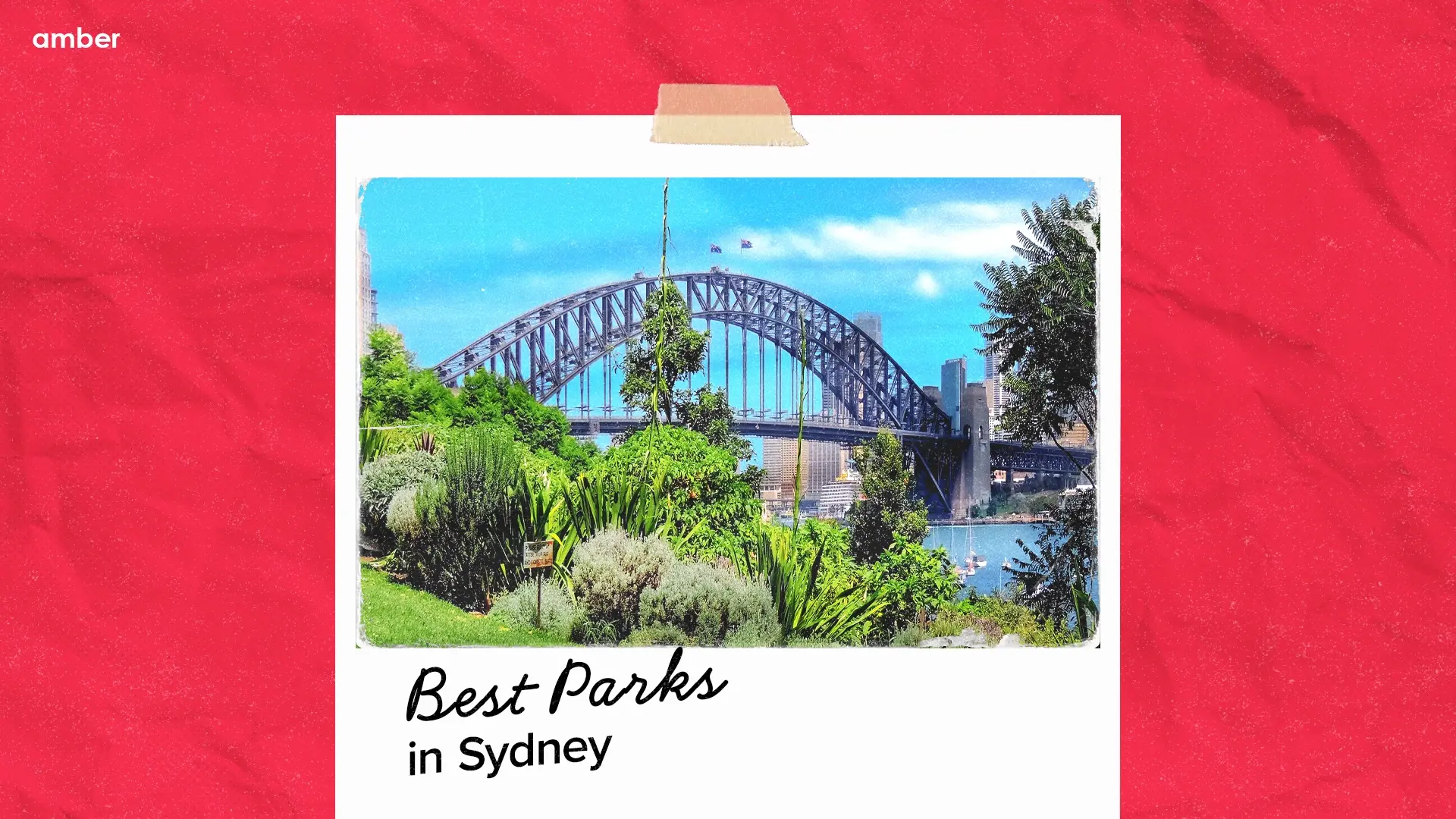 The 12 Best Parks in Sydney: Your Ultimate Guide | Amber