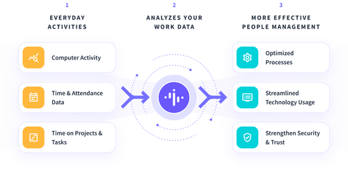 Workforce Analytics & Productivity Insights | Insightful (Prev Workpuls)