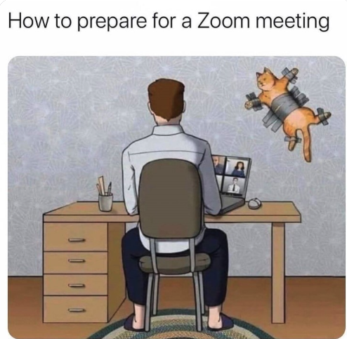 23 Hilarious Remote Work Memes Everyone Can Relate To