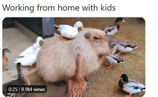 23 Hilarious Remote Work Memes Everyone Can Relate To