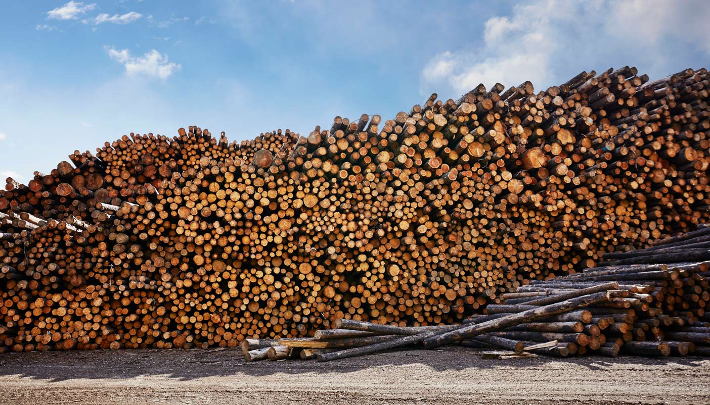 Using Wood for Good – How Timber Can Help Fight Climate Change ...