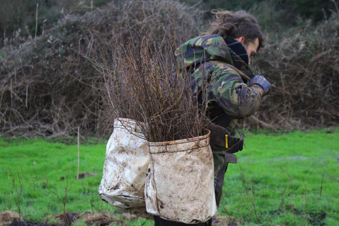 Introducing the Tree Planters - Creating Tomorrow's Forests | Restoring ...