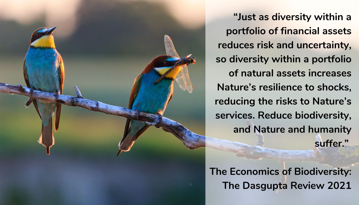 Why is Biodiversity Important to Business? - Creating Tomorrow's ...