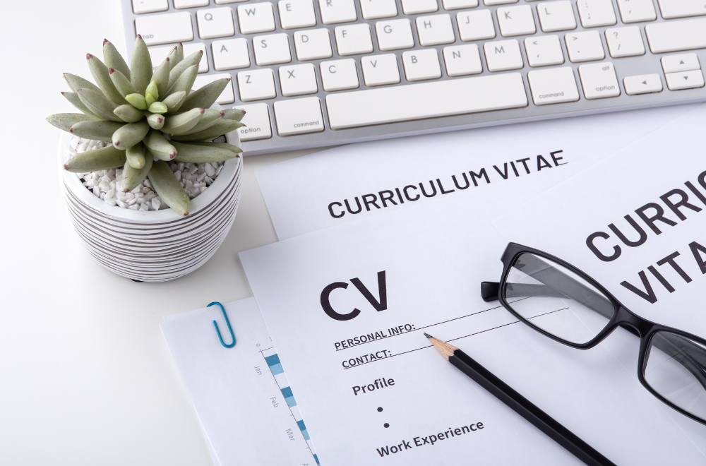 Modelli di Curriculum vitae Gratis per creare il tuo CV perfetto