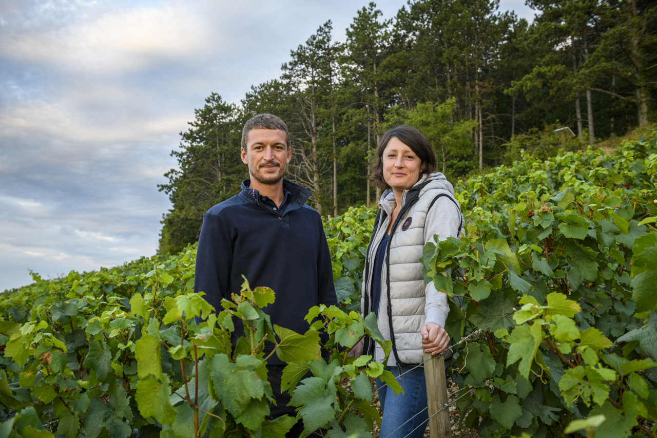 Raveneau | Burgundy Wine Collection