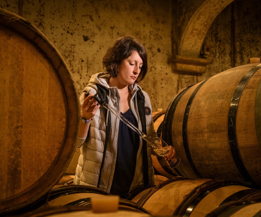 Raveneau | Burgundy Wine Collection