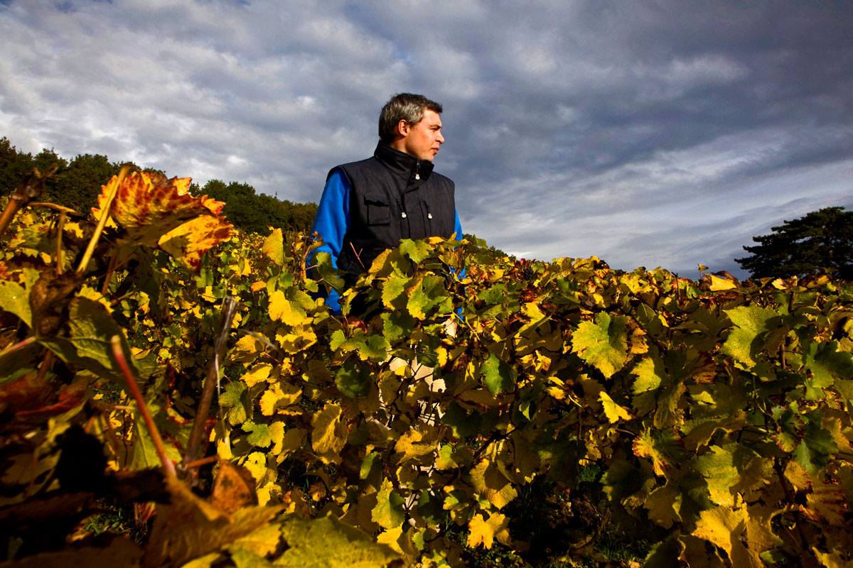 Prieuré Roch | Burgundy Wine Collection