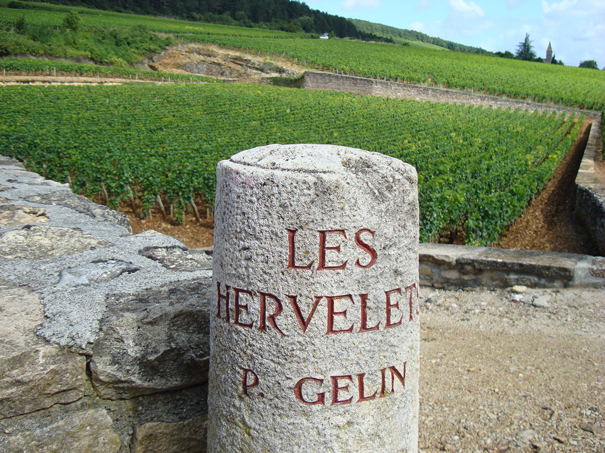Pierre Gelin | Burgundy Wine Collection