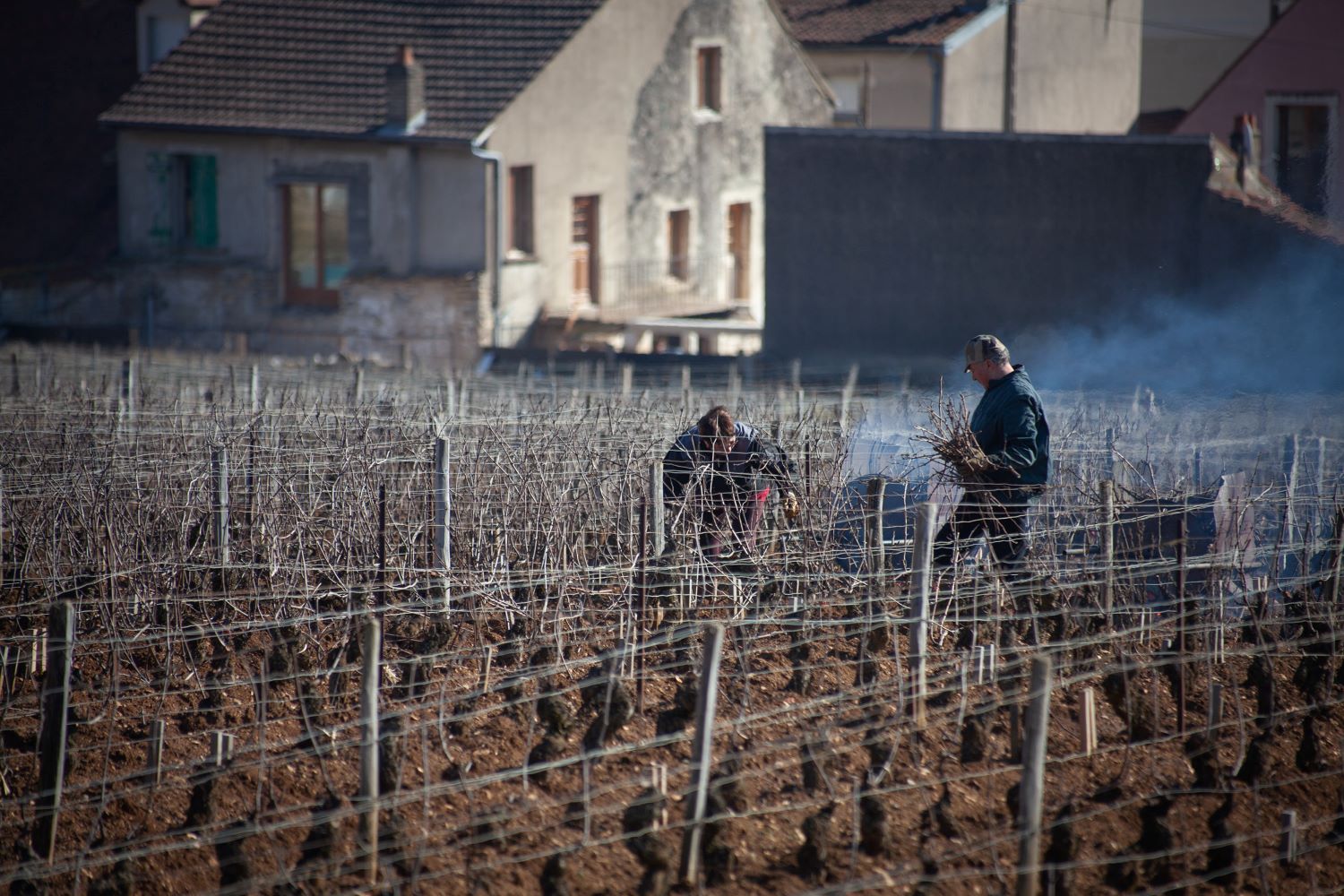 Emmanuel Rouget | Burgundy Wine Collection