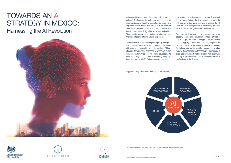 50 National AI Strategies - The 2020 AI Strategy Landscape