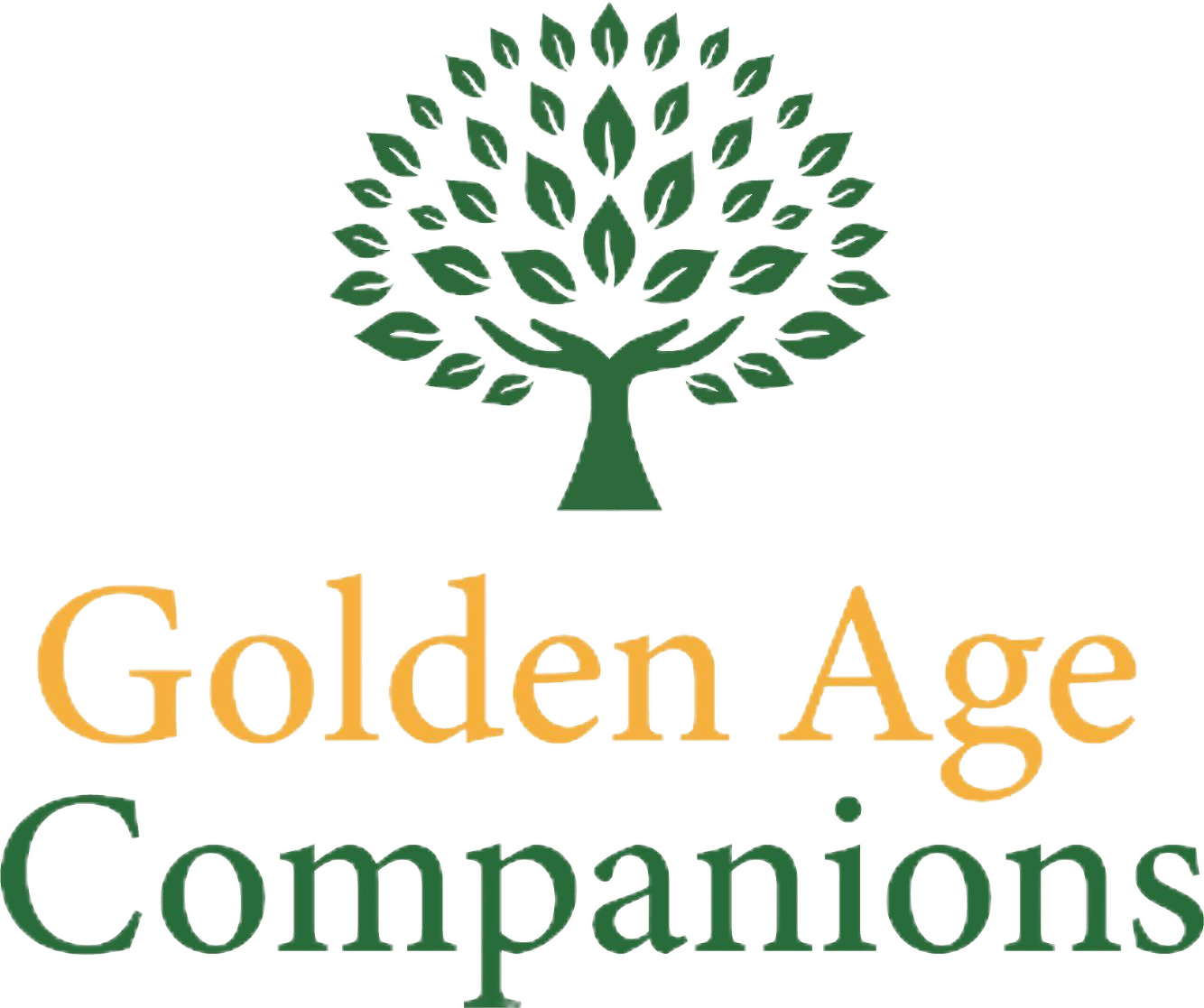 Quality In-Home Senior Care Services | Golden Age Companions