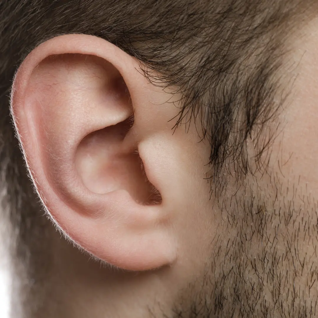 Prominent Ears in Scotland | Plastic Surgery Aberdeen
