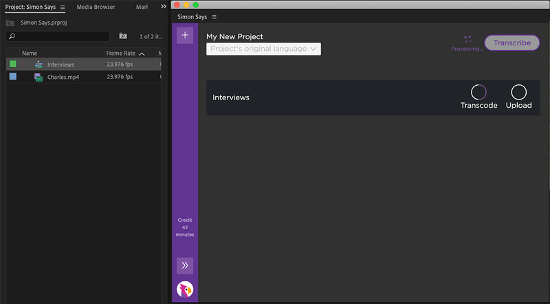 How to translate audio/video in Adobe Premiere Pro | Simon Says