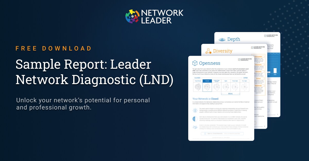 Network Leader — Unlock The Power of Professional Networks with the Leader Network Diagnostic™