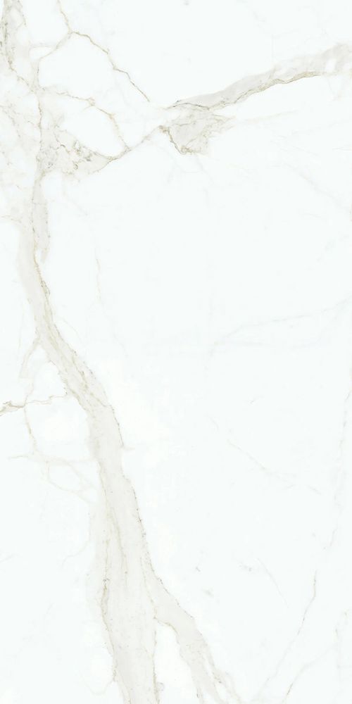 Calacatta Carbone | ELM Surfaces | Luxury Italian Stone and Tile Supplier