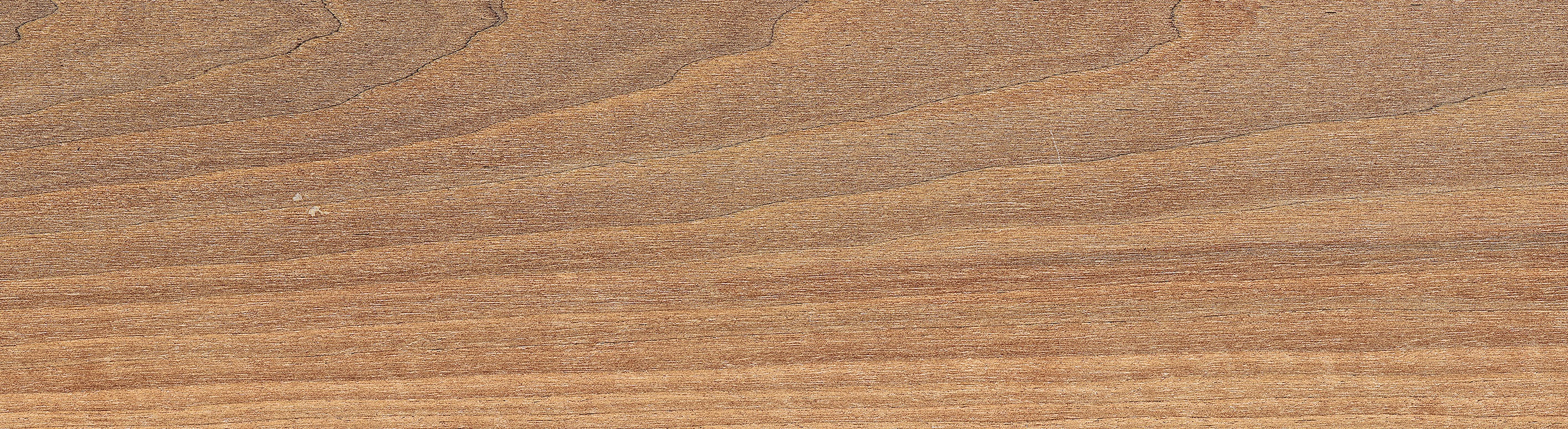 Oak Natural | ELM Surfaces | Luxury Italian Stone and Tile Supplier
