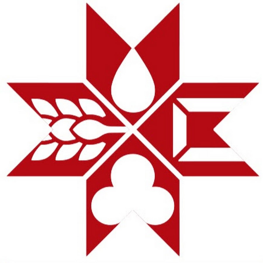 Next Capital Limited