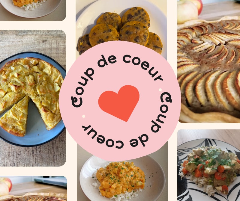 Les coups de cœur de la team Jow : spécial Novembre