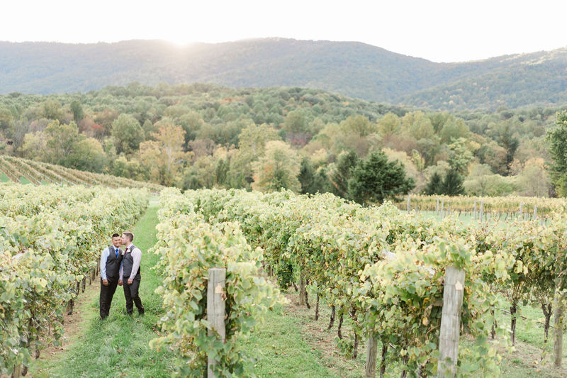 Jonathan & Kevin's Charlottesville Wedding at Veritas Vineyard