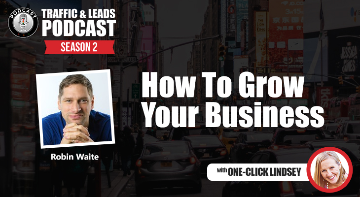 How To Grow Your Business - Traffic and Leads Podcast Interview
