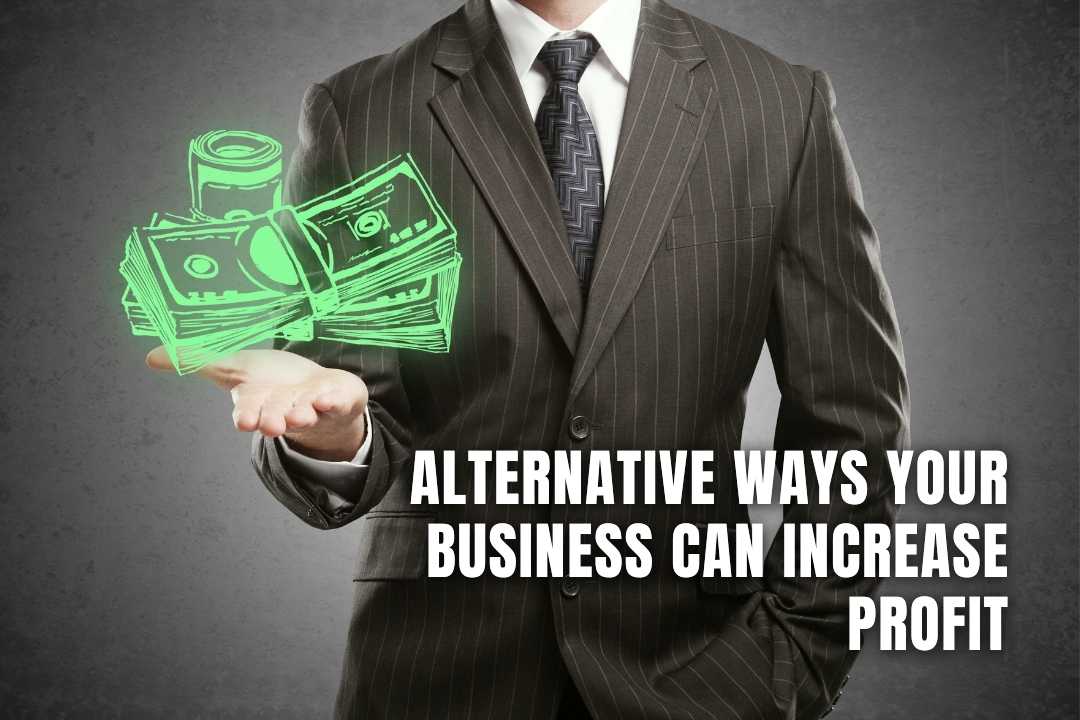 Alterntaive Ways Your Business Can Increase Profit
