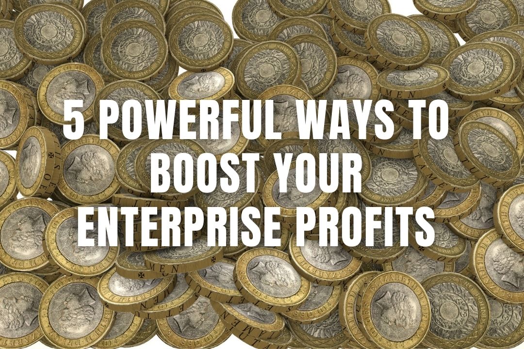 5 Powerful Ways to Boost Your Enterprise Profits
