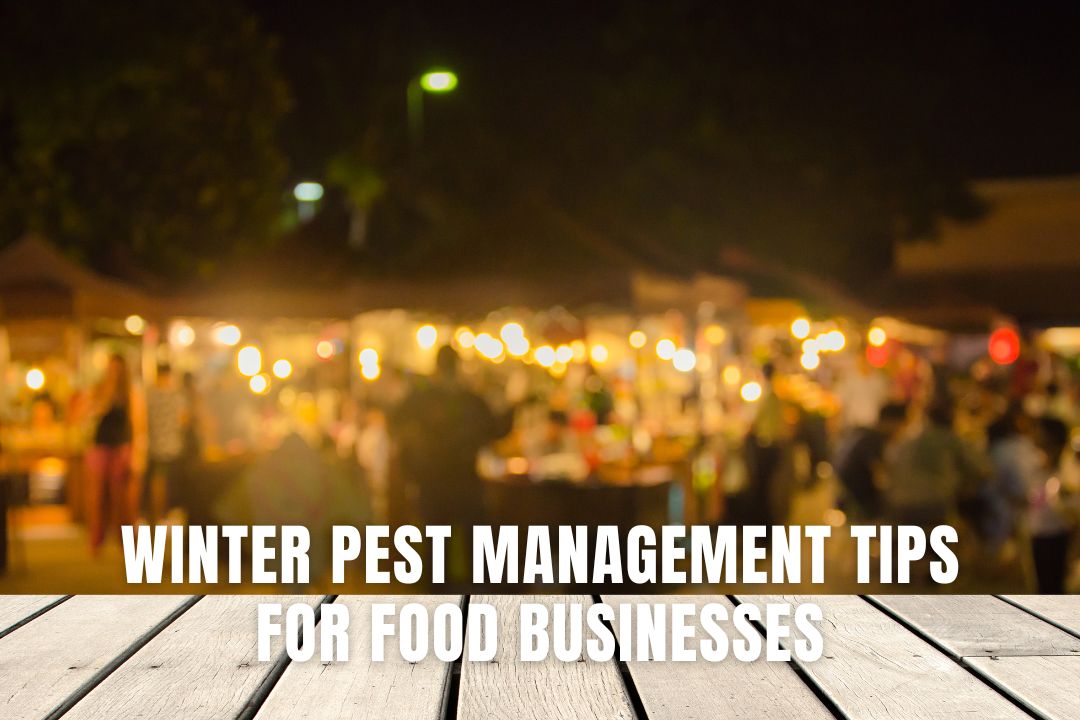 Winter Pest Management Tips For Food Businesses