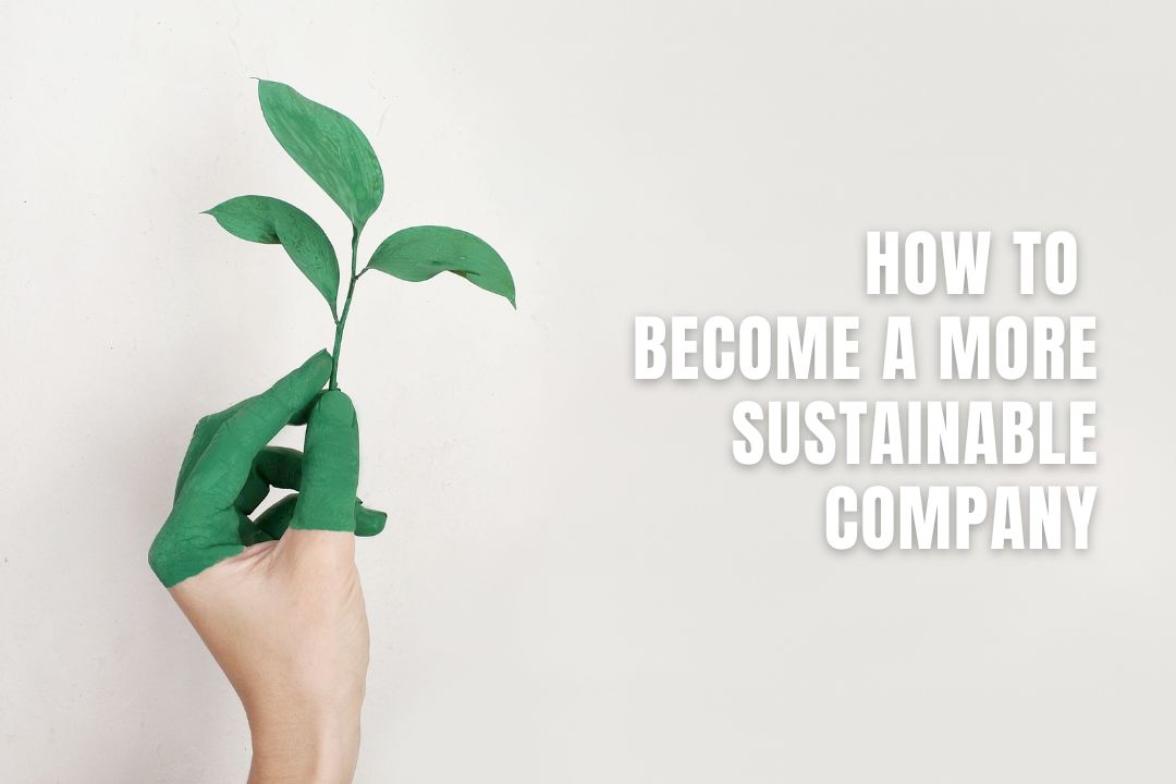 How to Become a More Sustainable Company Online
