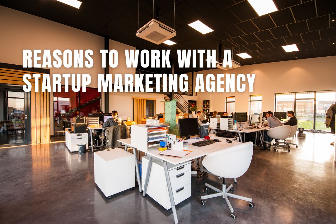 Reasons to Work with a Startup Marketing Agency