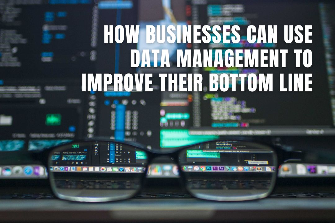 How Businesses Can Use Data Management To Improve Their Bottom Li