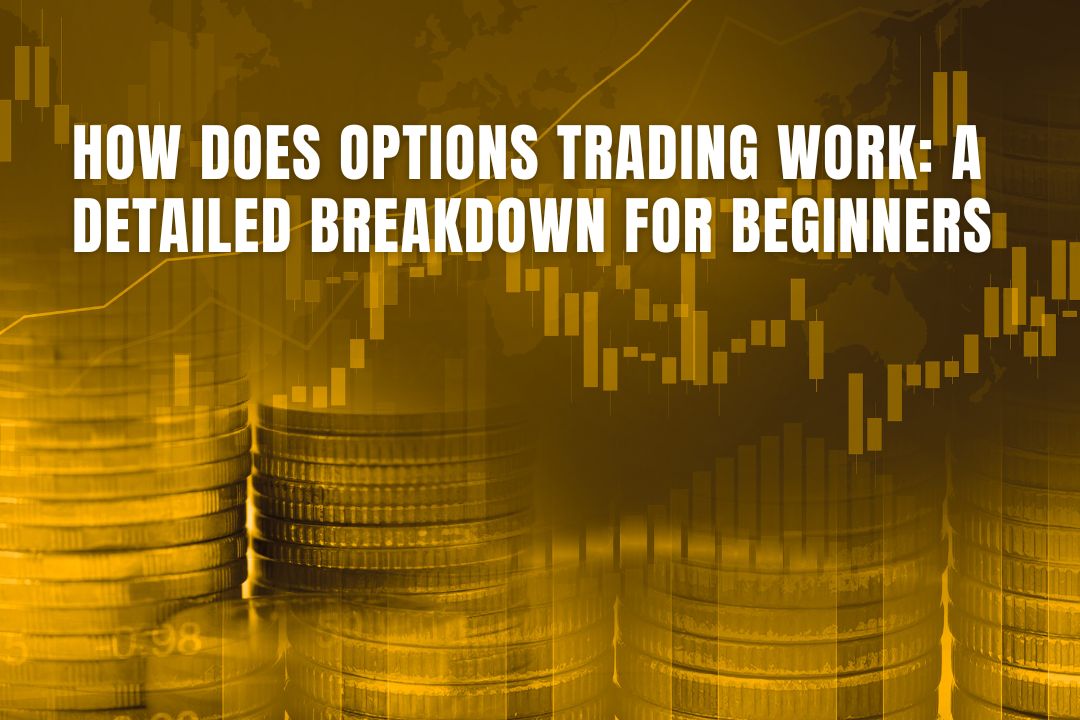 How Does Options Trading Work: A Detailed Breakdown for Beginners