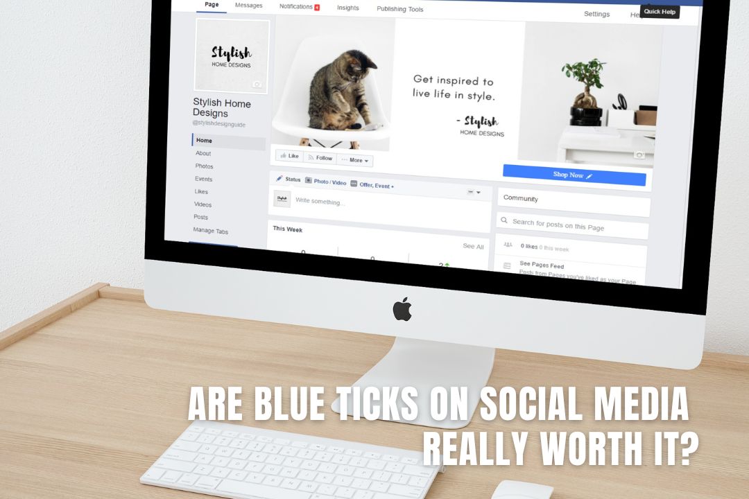 Are Blue Ticks on Social Media Really Worth It?