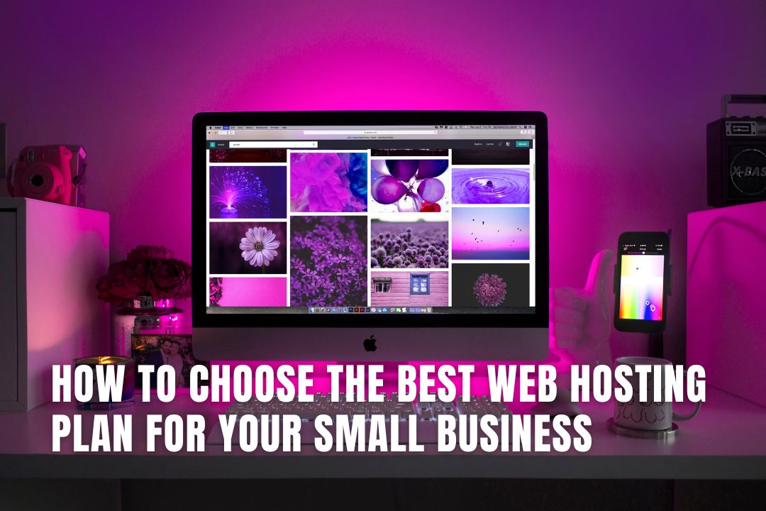 How To Choose The Best Web Hosting Plan For Your Small Business