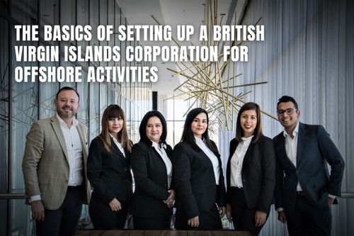 The Basics of Setting Up a British Virgin Islands Corporation