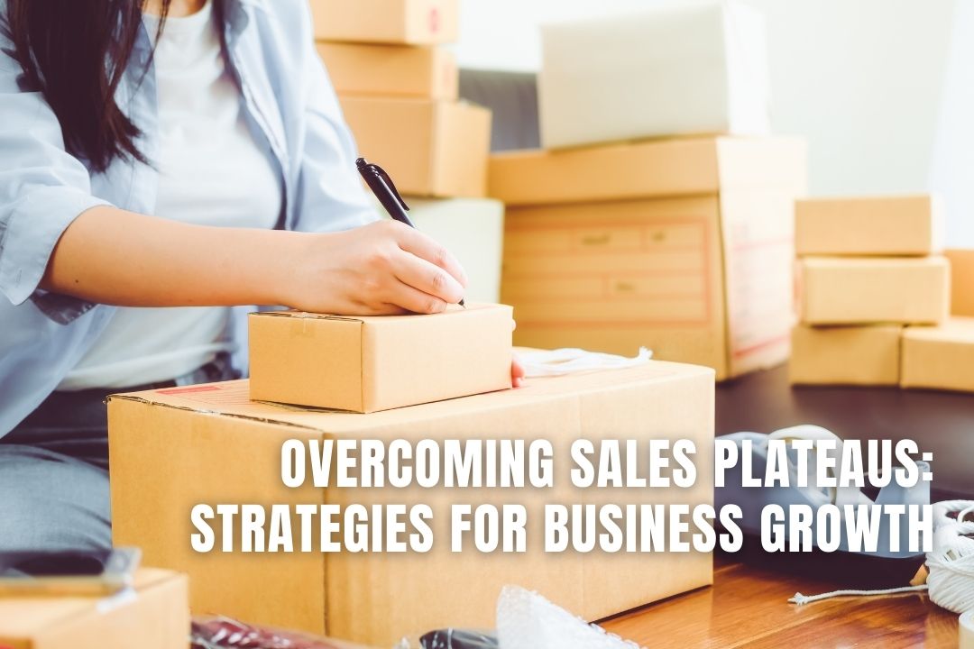 Overcoming Sales Plateaus: Strategies for Business Growth