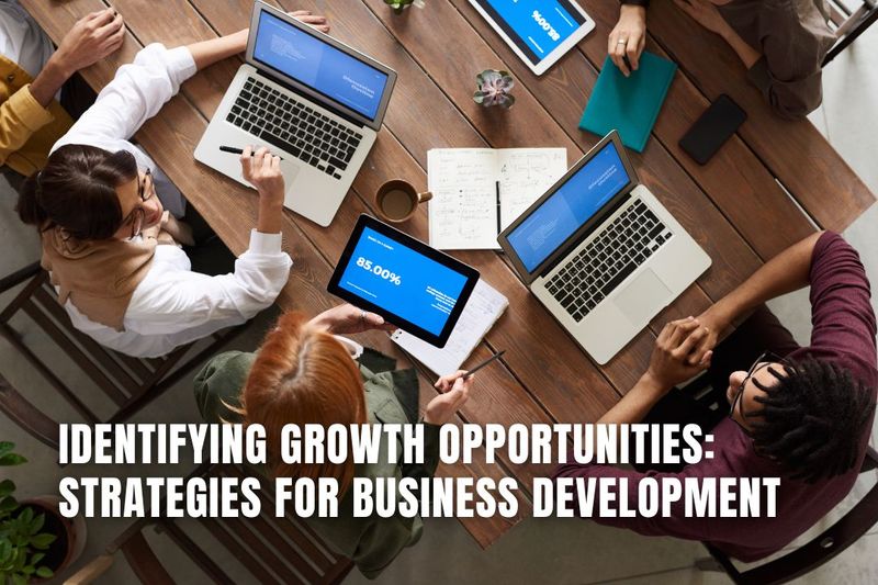 Identifying Growth Opportunities: Strategies for Business