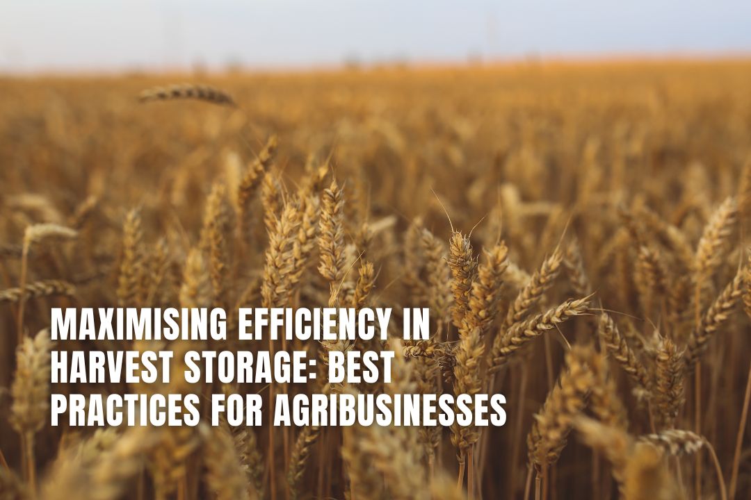 Maximising Efficiency in Harvest Storage: Best Practices