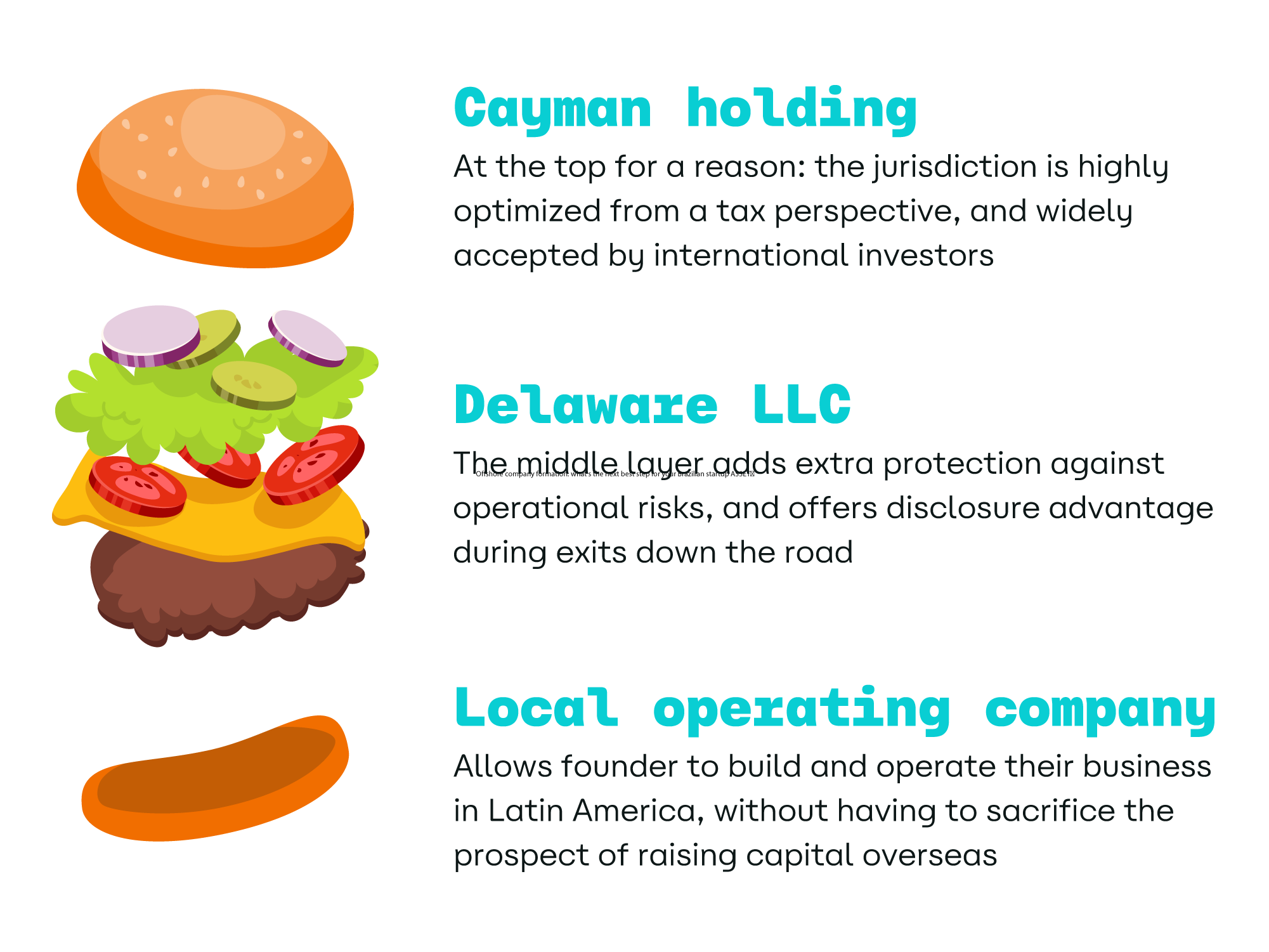 Offshore company formation: Delaware x Cayman Sandwich | Latitud