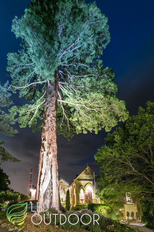 New Lighting Showroom in Kent Town, Adelaide | Allera Light