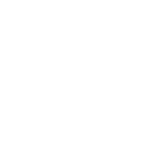 External vs. Internal Processor