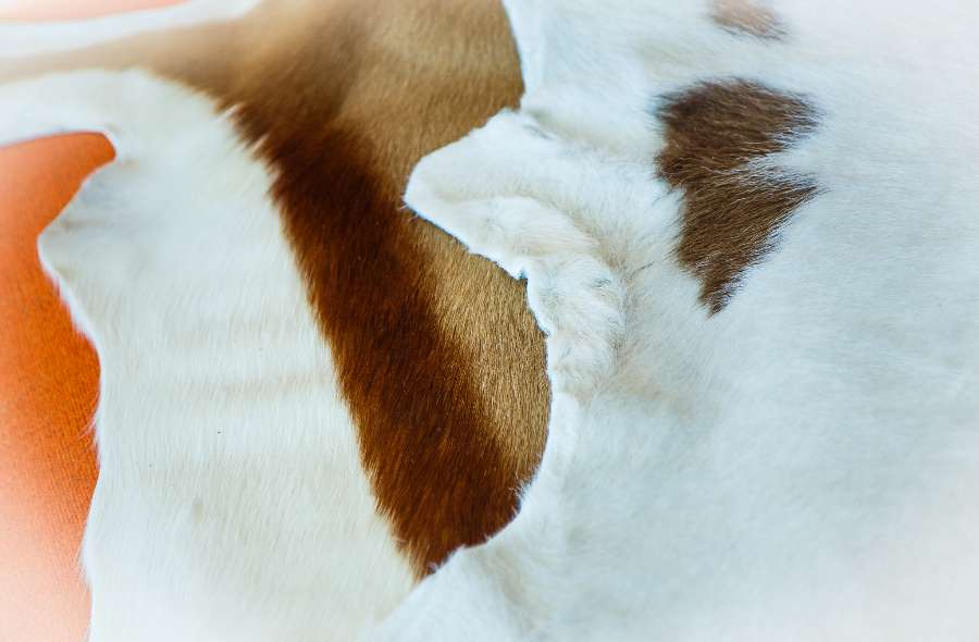 Gallery | Leather Direct