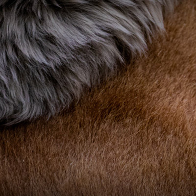 Product Category | Leather Direct