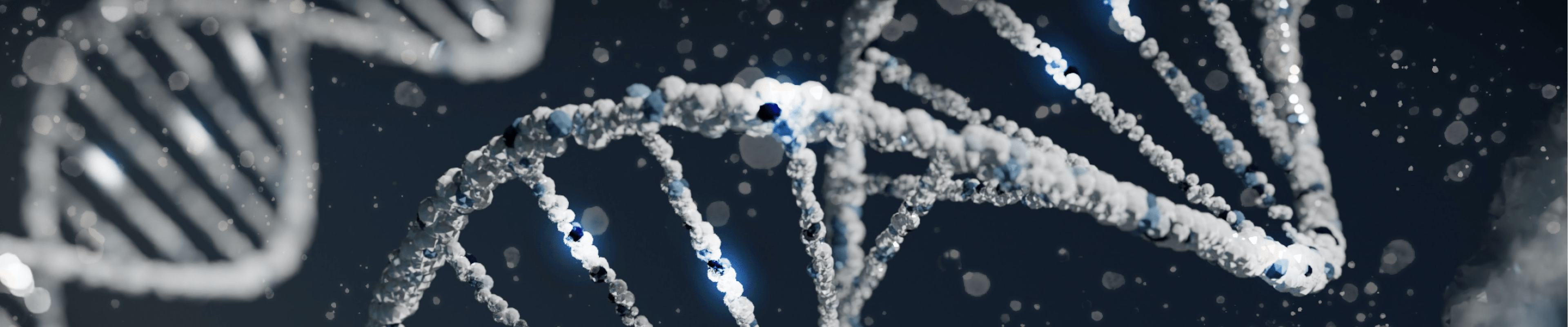 Bioethics: Core Concepts | CBHD Site Topic Issues