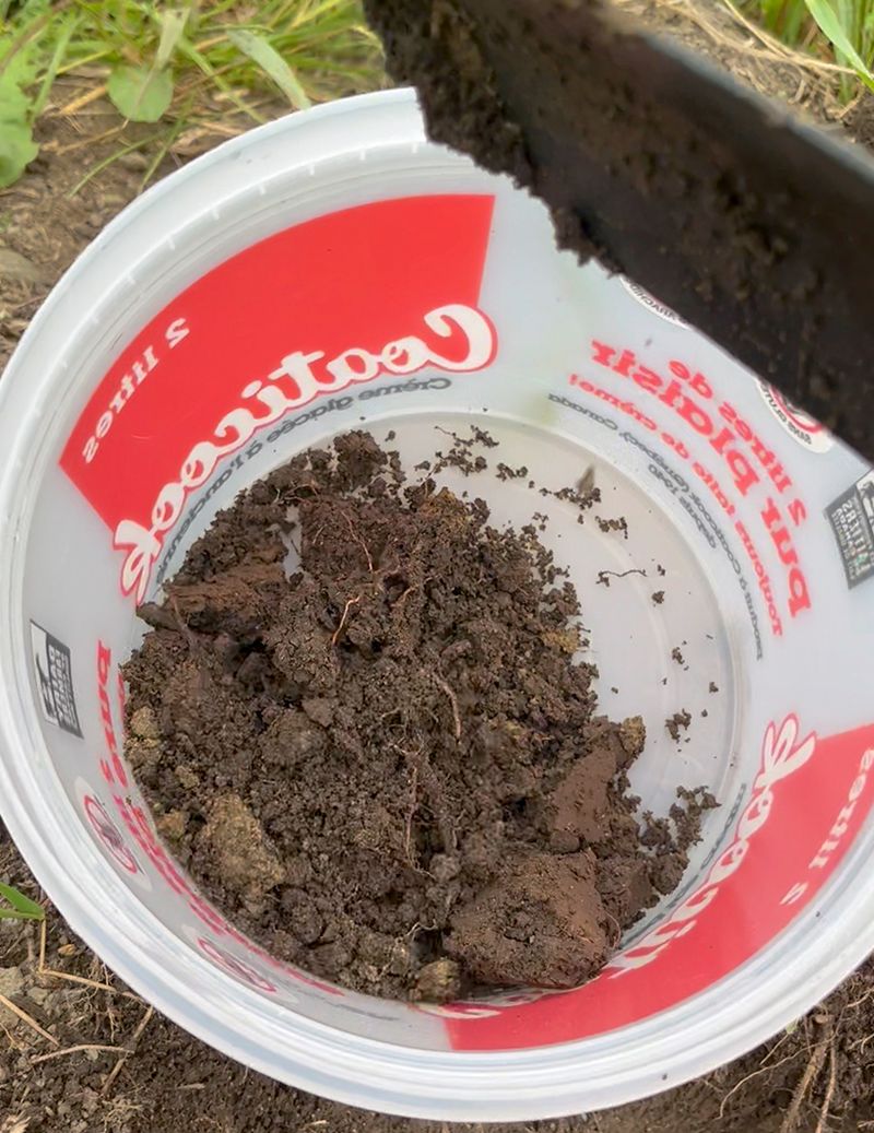 L'analyse de sol simplifiée pour les potagers québécois