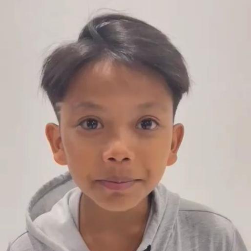 Farel Prayoga | Musician | Artist Bio & Facts